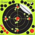Best Paper Targets For Shooting: From Fun N' Gun To Serious Shooters